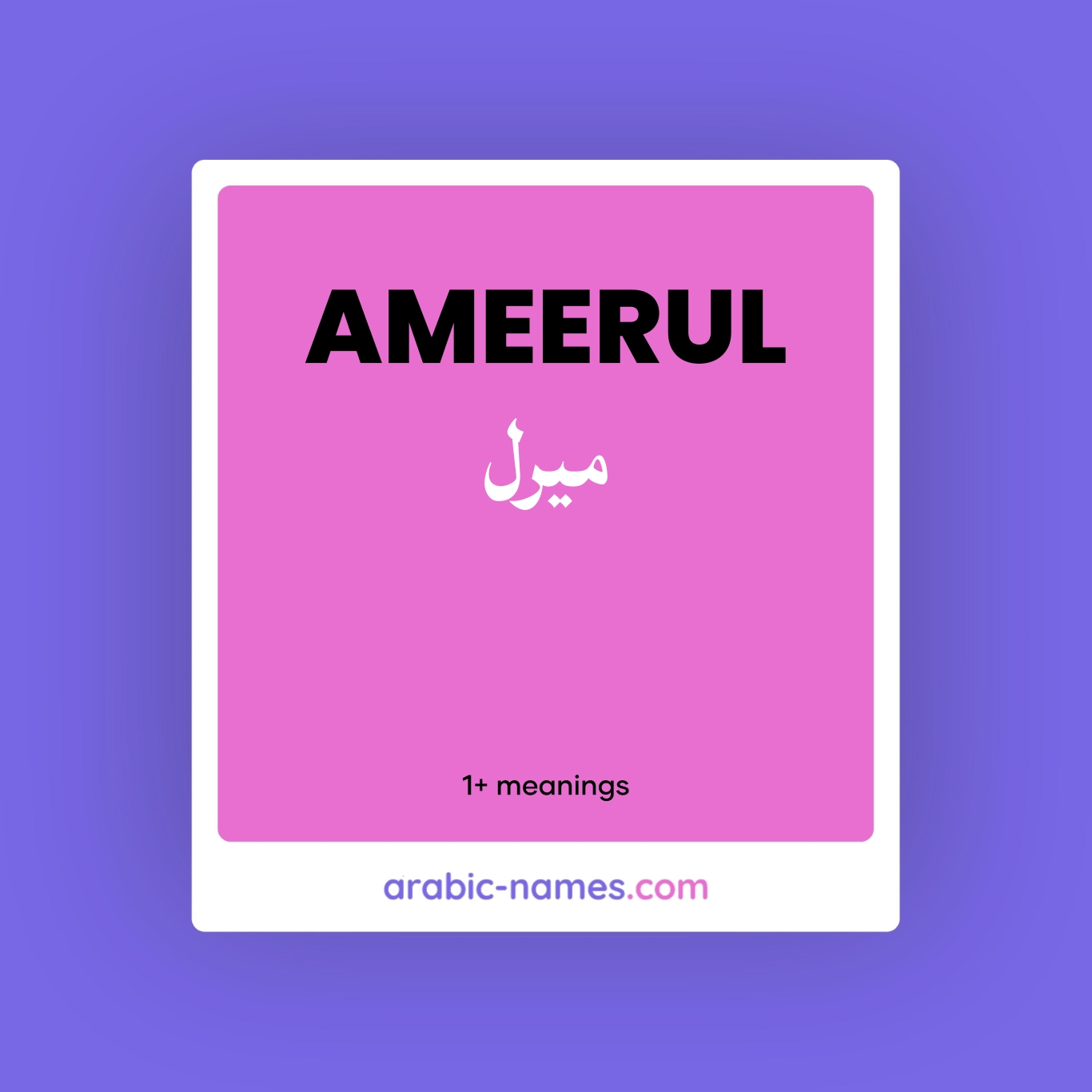 AMEERUL (ميرل) Meaning in Arabic & English - Arabic Names